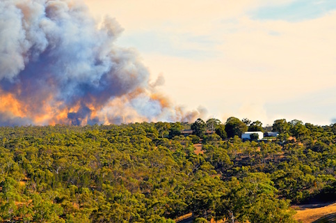 After The Sampson Flat Fire - the fireground in 360 degrees