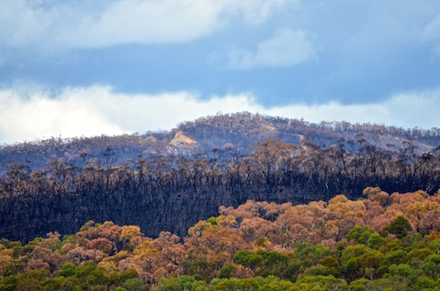 After The Sampson Flat Fire - the fireground in 360 degrees