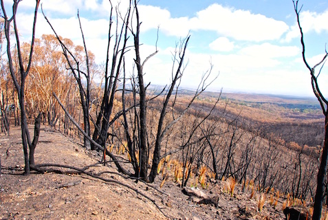 After The Sampson Flat Fire - the fireground in 360 degrees