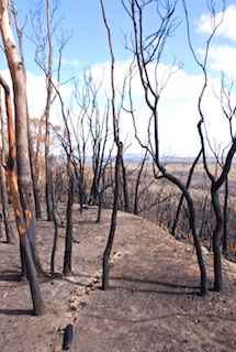 After The Sampson Flat Fire - the fireground in 360 degrees